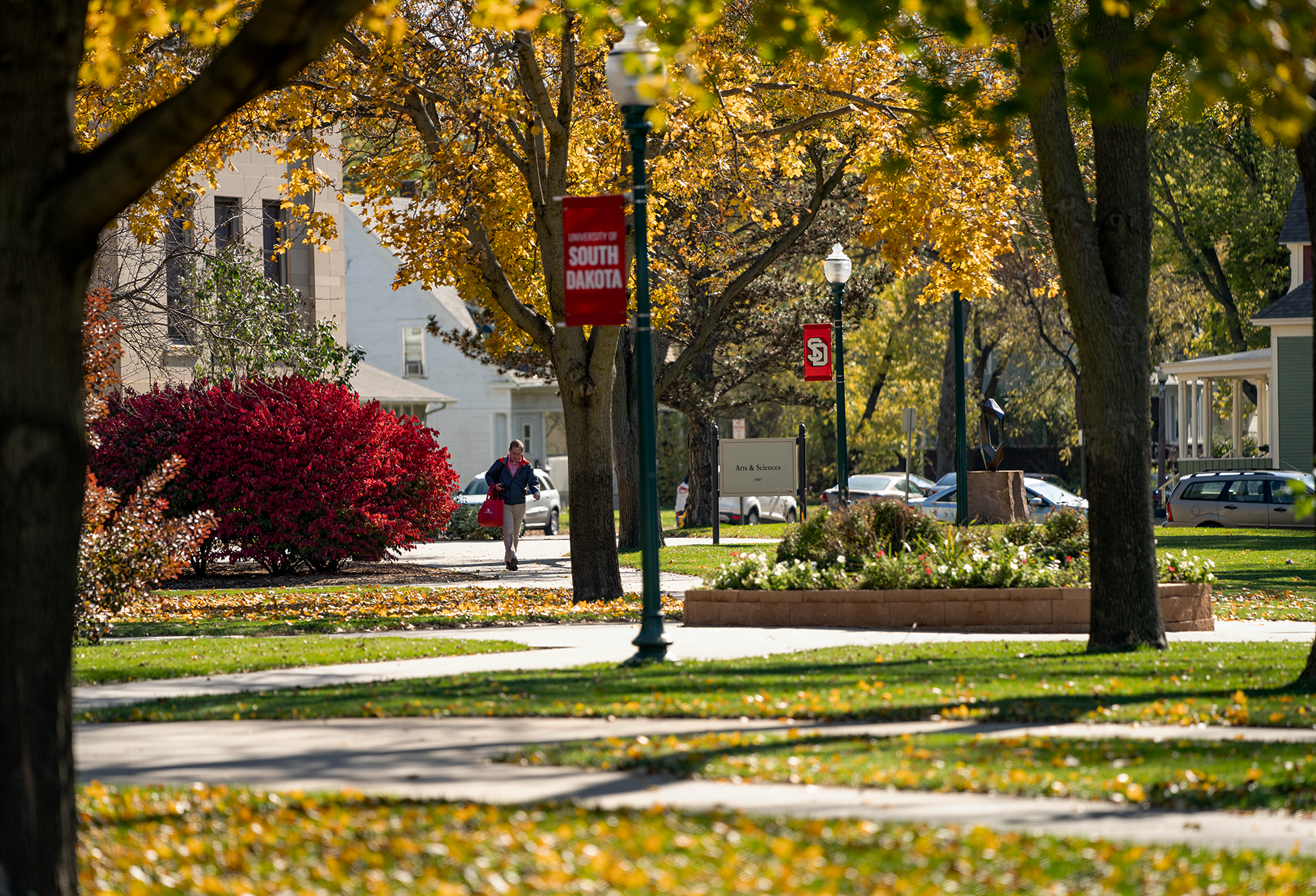 USD Home | University of South Dakota