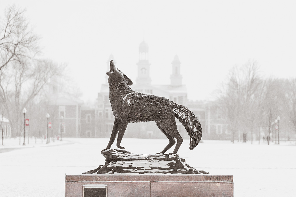 USD Home | University of South Dakota